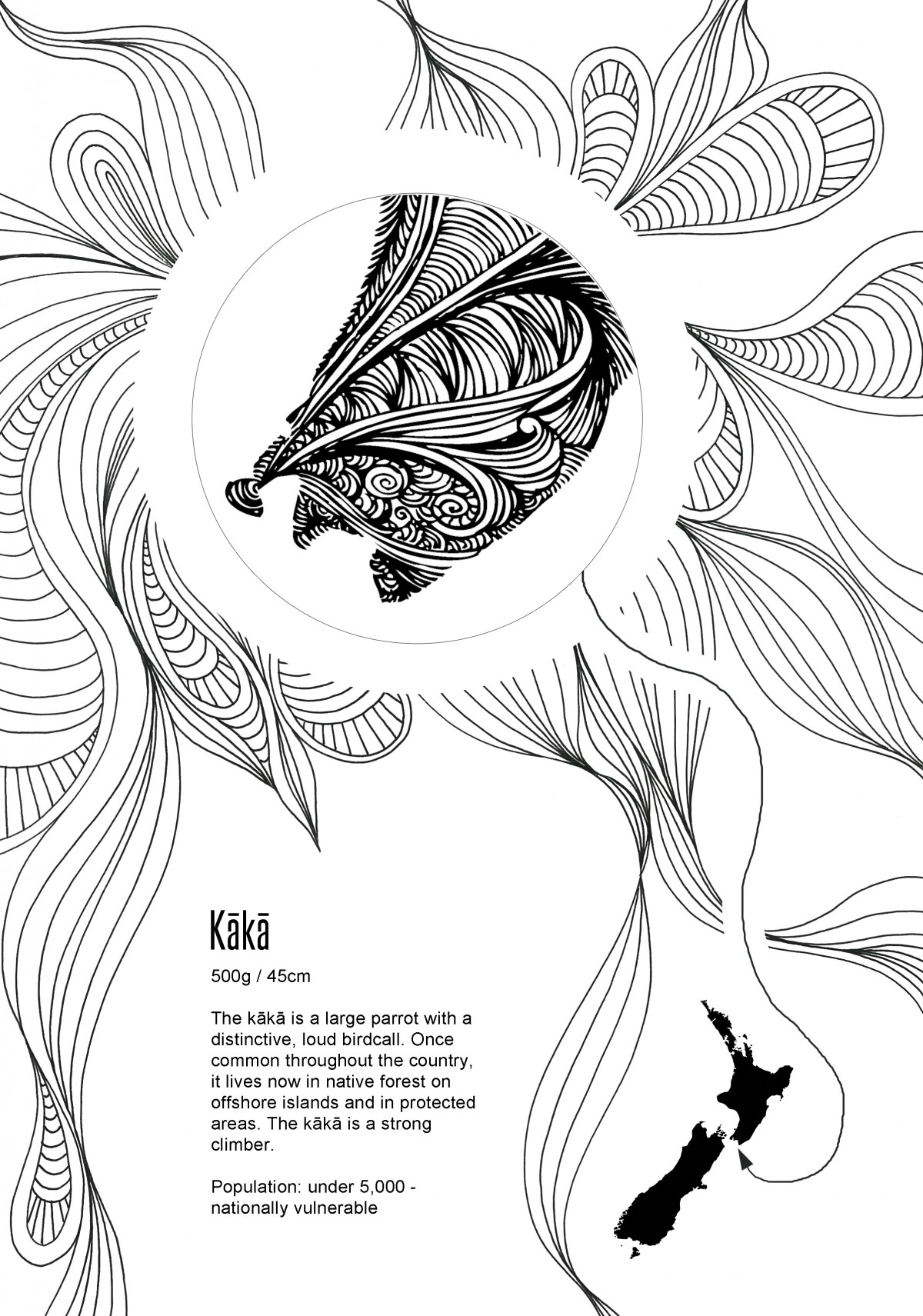 kaka map